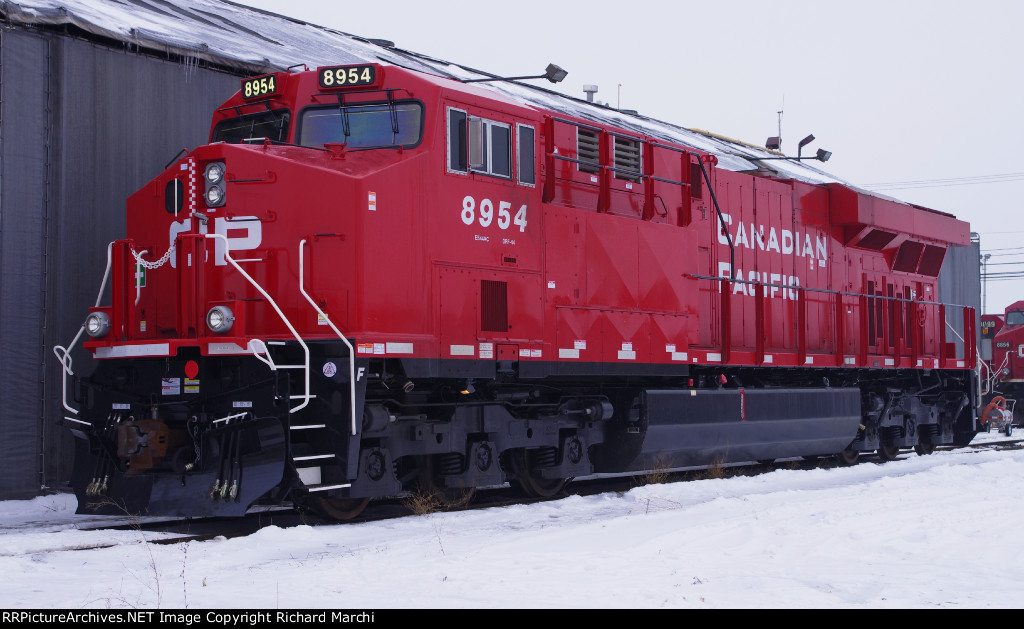CP 8954
